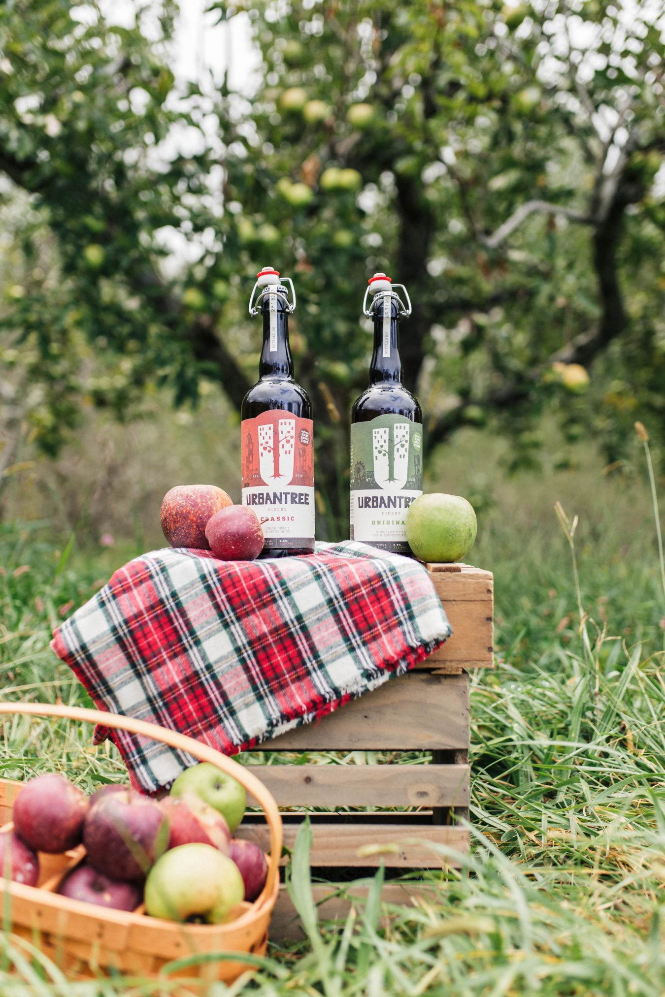 A Fall Guide to Apple Picking in Georgia - Peachfully Chic